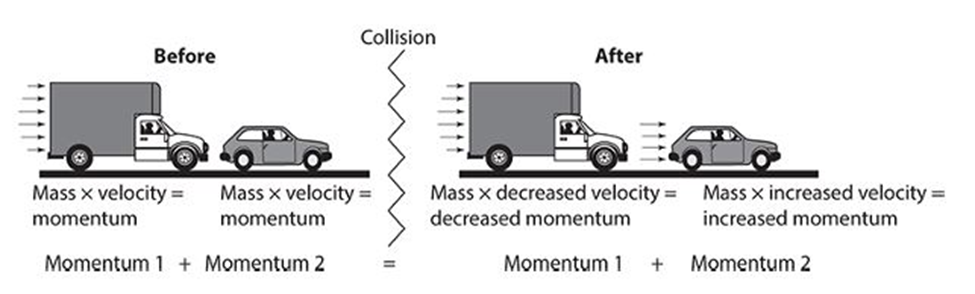 MOTION AND FORCE - PHYSICAL SCIENCE - DTW GED PREP